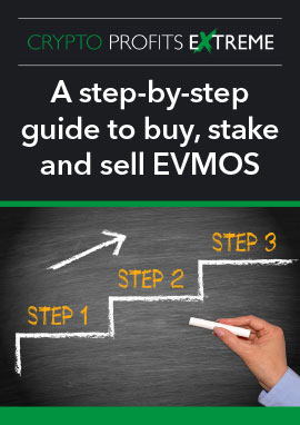 Step-by-step guide to buy, stake and sell EVMO - Southbank Investment Research